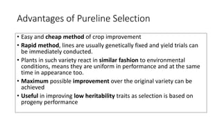 Pure line selection and Progeny test | PPTX