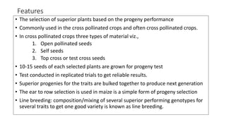 Pure line selection and Progeny test | PPTX