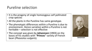 Pure line selection and Progeny test | PPTX