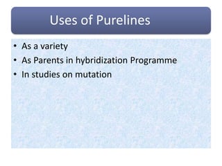 Pureline selection | PPTX