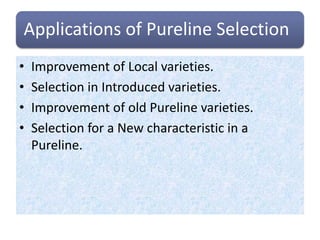 Pureline selection | PPTX