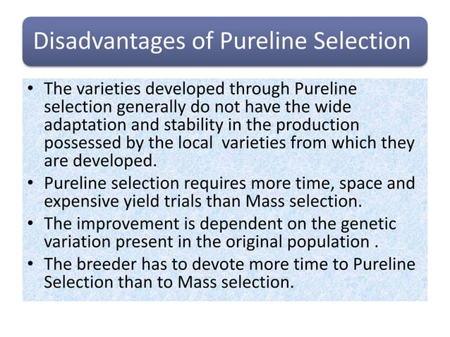 Pureline selection | PPTX
