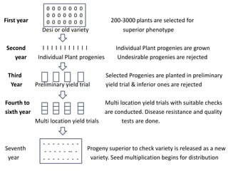 Pureline selection | PPTX