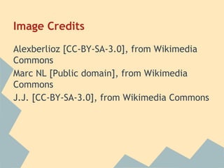 Purely Functional Data Structures | PPT