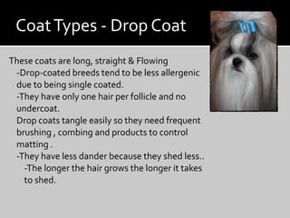 Pure Paws Workshop 2 - Understanding Coat Growth | PDF