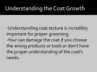 Pure Paws Workshop 2 - Understanding Coat Growth | PDF