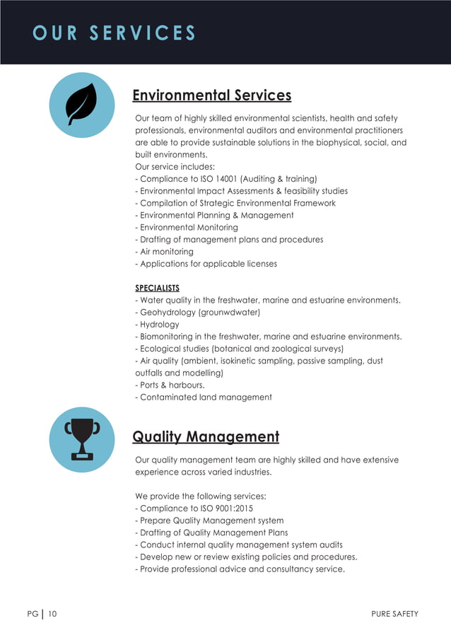Pure Safety Company Profile | PDF