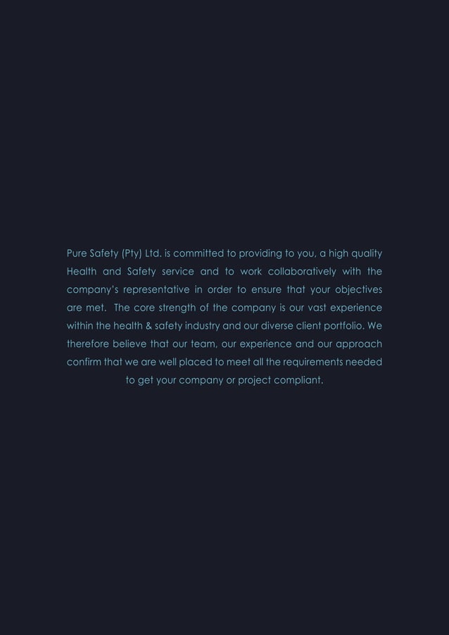 Pure Safety Company Profile | PDF