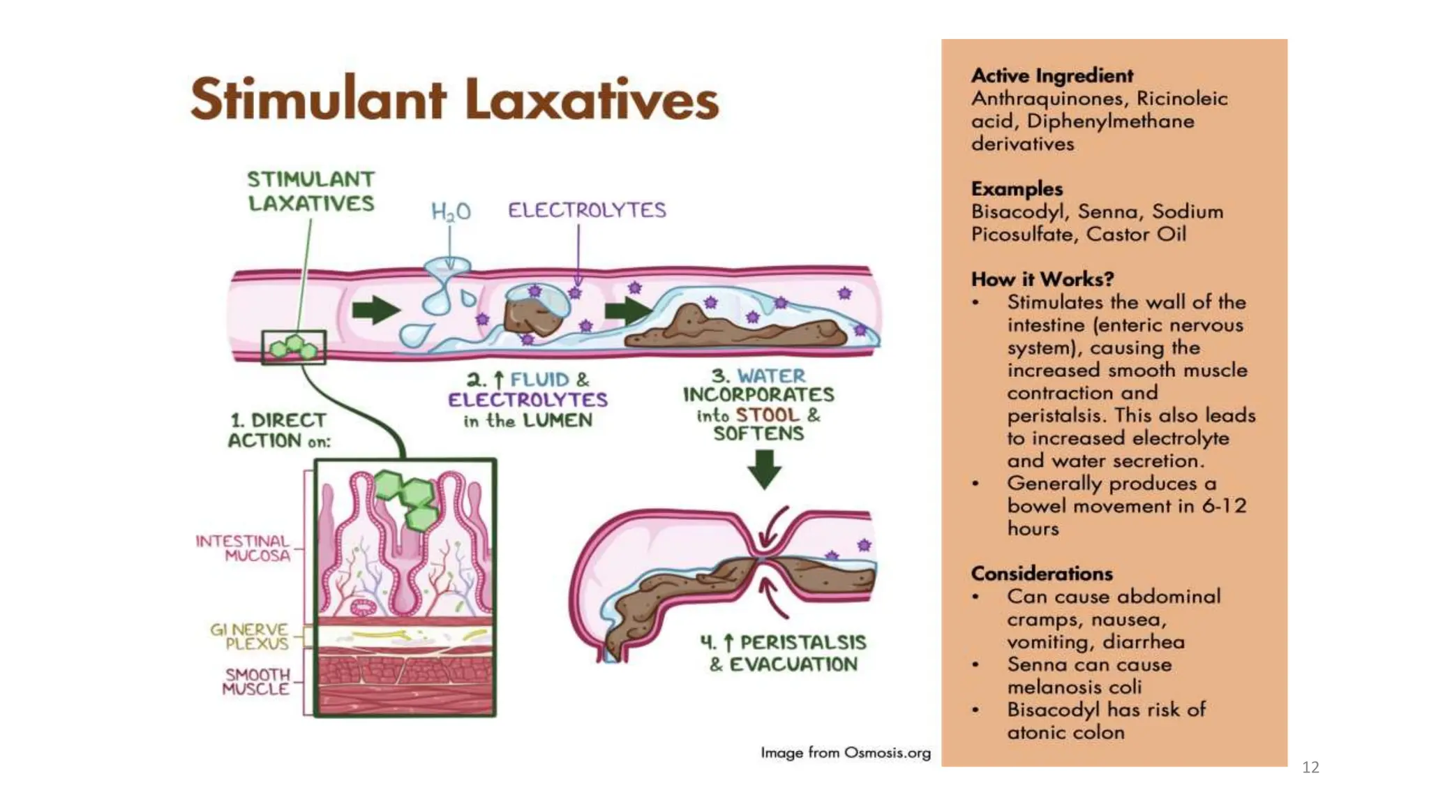 Purgatives & Laxatives, by Baqir Naqvi.pptx