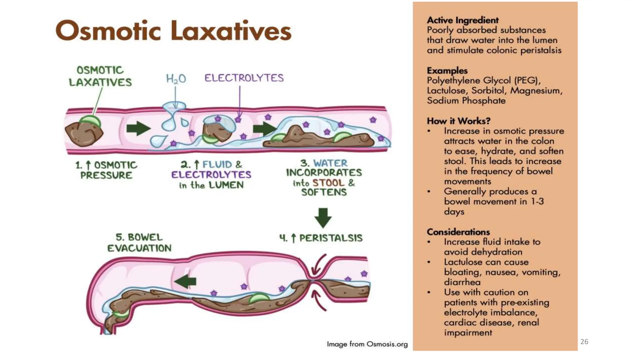 Purgatives & Laxatives, by Baqir Naqvi.pptx