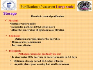 Purification-of-Water.ppt
