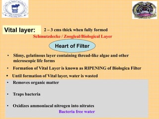Purification-of-Water.ppt