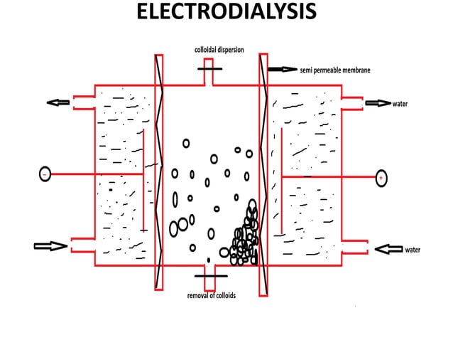 Purification Of Colloidal Dispersion Ppt