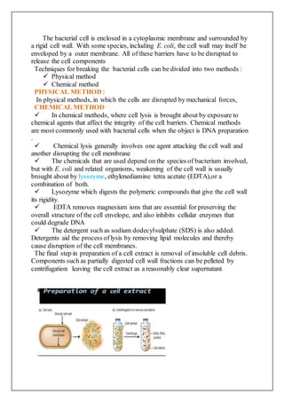 Purification of dna from living cells | PDF
