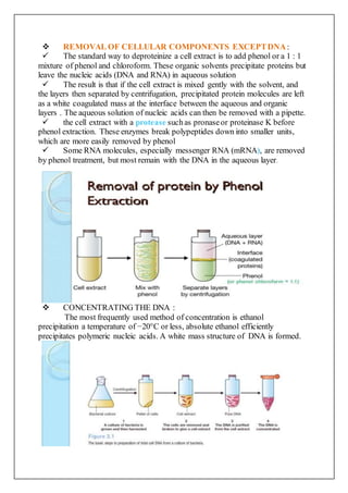 Purification of dna from living cells | PDF