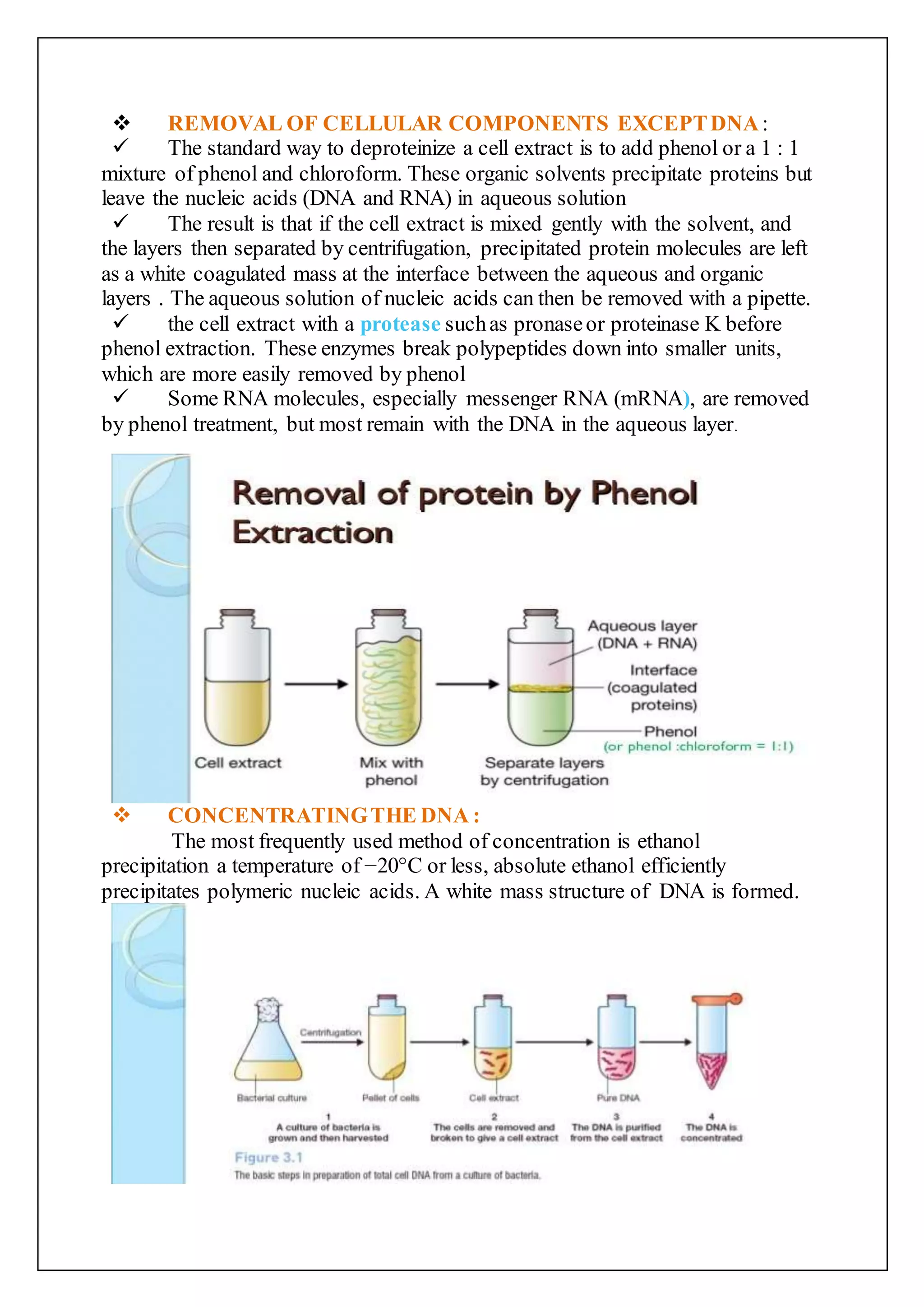 Purification of dna from living cells | DOCX