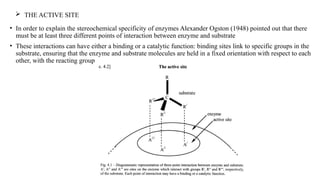 isolation and purification of enzymes presentation | PPTX