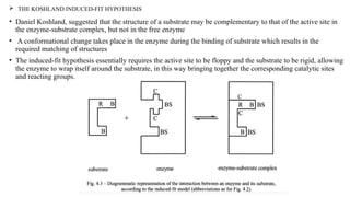 isolation and purification of enzymes presentation | PPTX