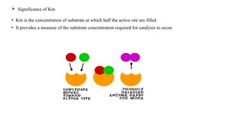 isolation and purification of enzymes presentation | PPTX