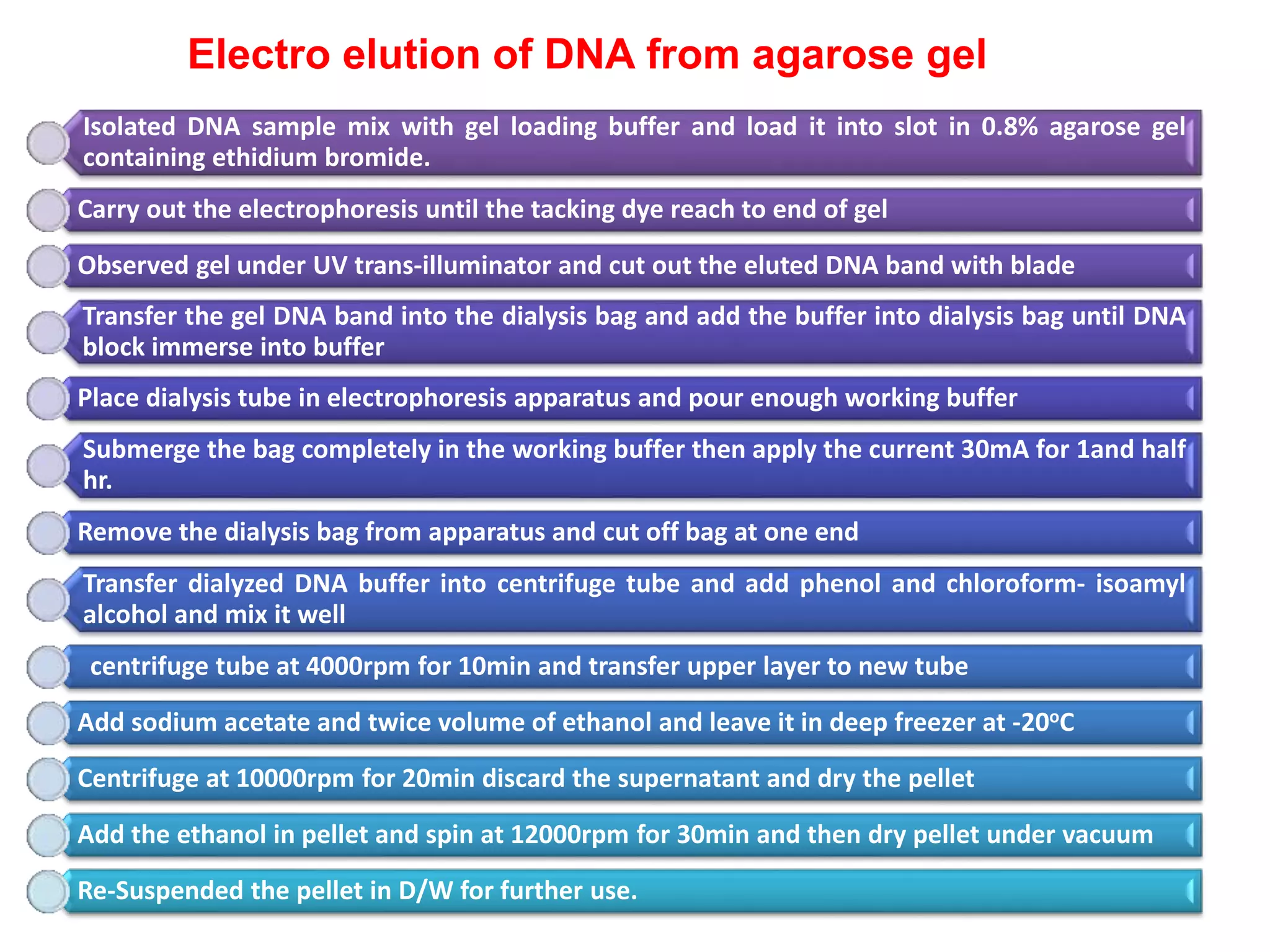 Purification of nucleic acids | PPTX