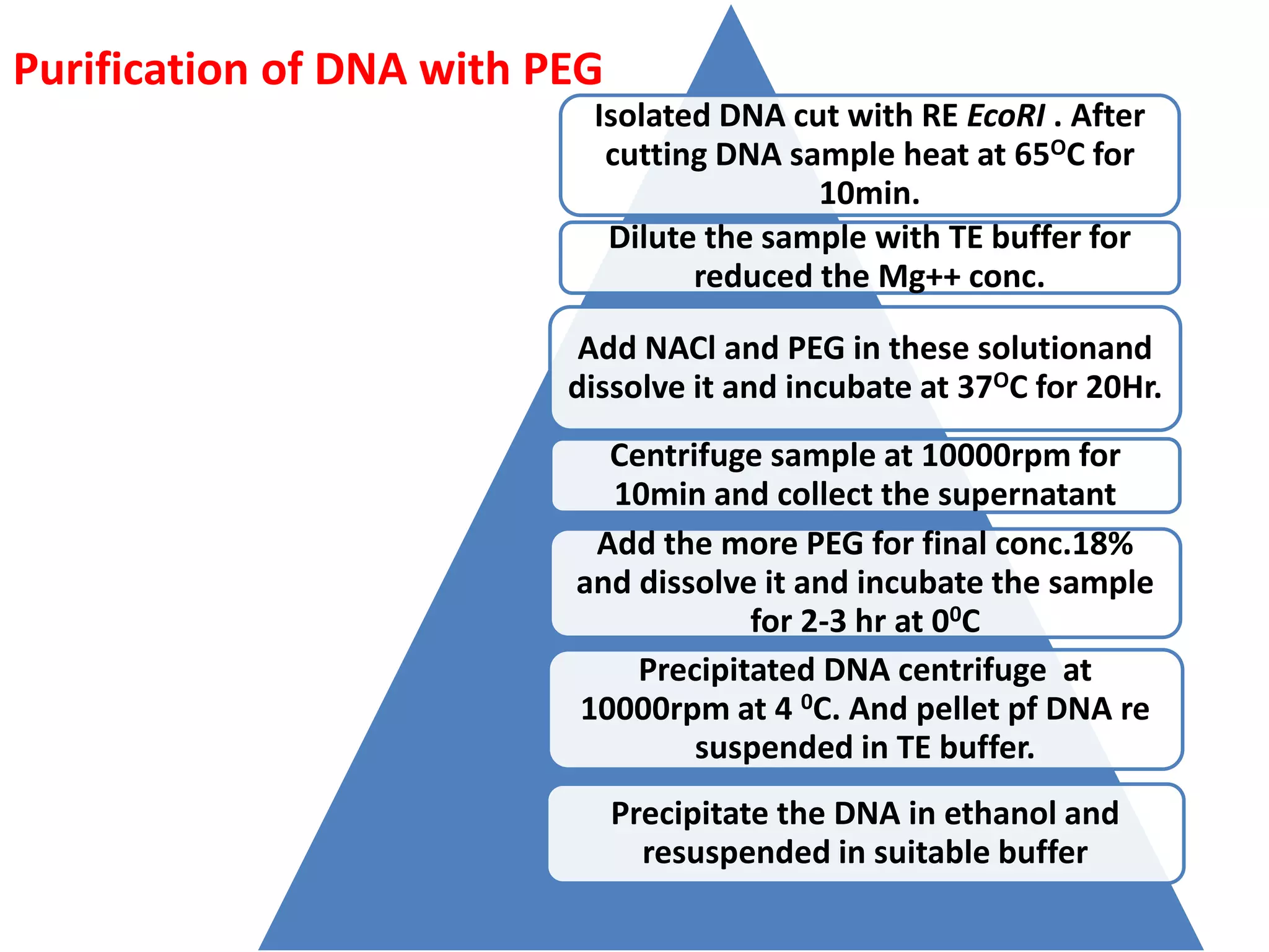 Purification of nucleic acids | PPTX