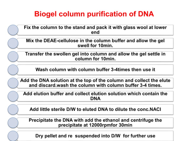 Purification of nucleic acids | PPTX