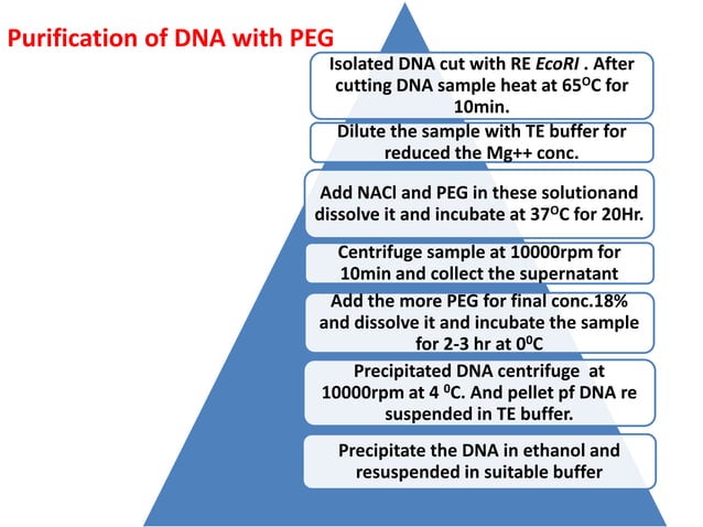 Purification of nucleic acids | PPTX