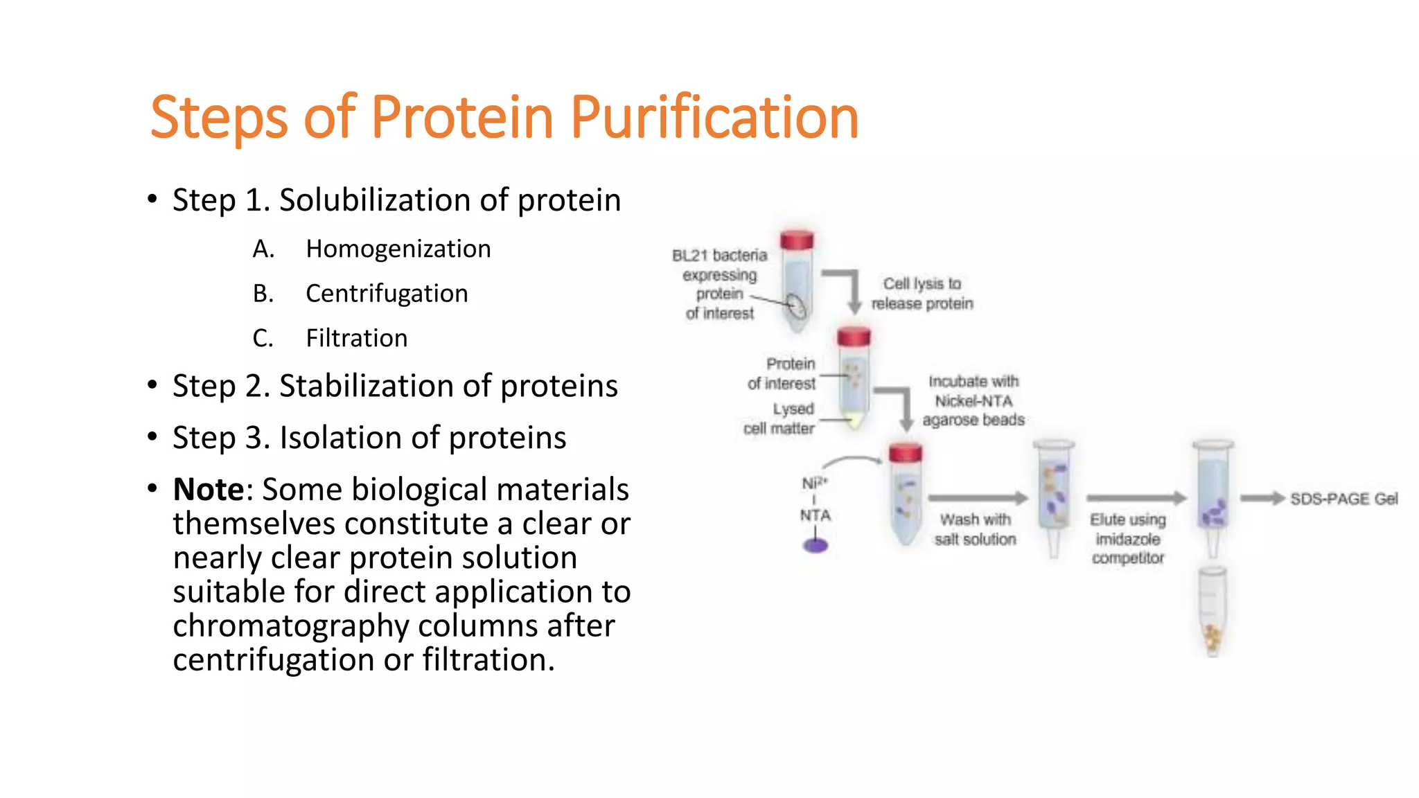 Purification of proteins (purification of enzymes) | PPTX