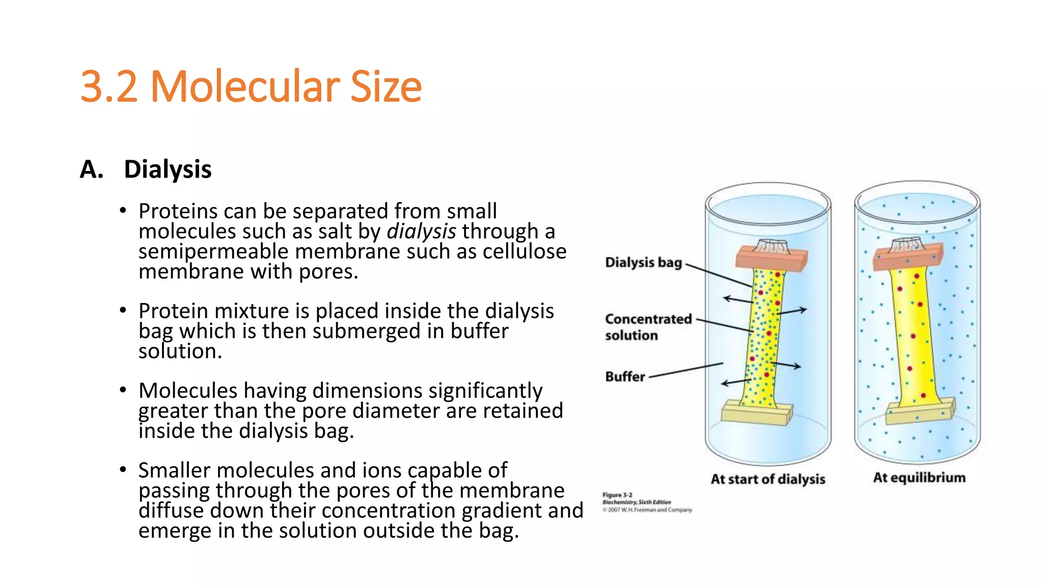 Purification of proteins (purification of enzymes) | PPTX
