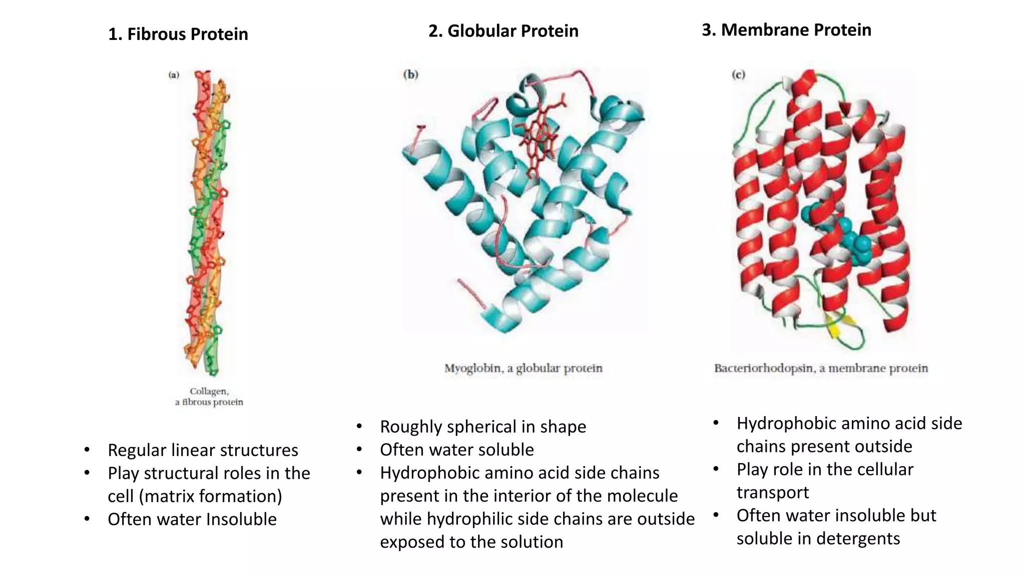Purification of proteins (purification of enzymes) | PPTX