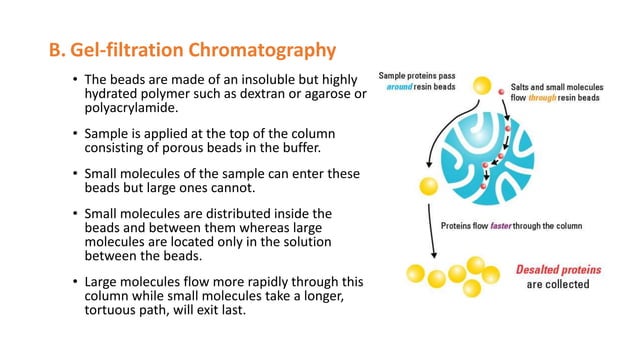 Purification of proteins (purification of enzymes) | PPTX