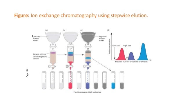 Purification of proteins (purification of enzymes)