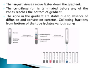 Purification of viruses | PPTX