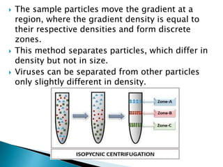 Purification of viruses | PPTX