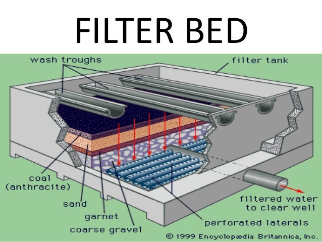 Purification of water