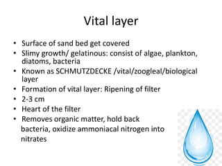 Purification of water | PPTX