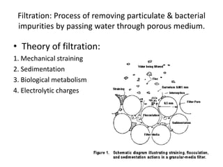 Purification of water 1 | PPTX
