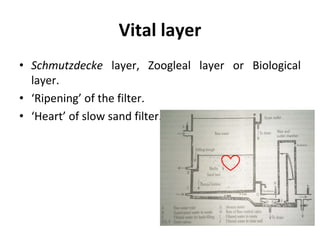 Purification of Water (1).pdf