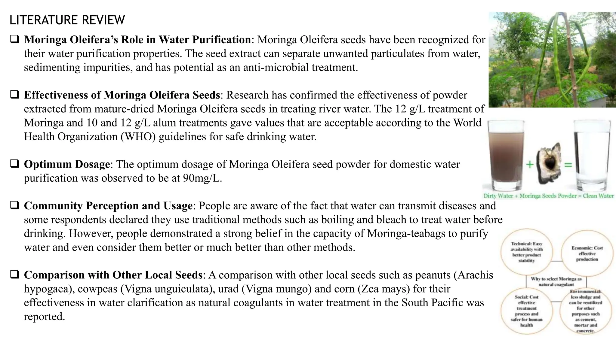 PURIFICATION OF WATER USING MORINGA OLEIFERA SEEDS[1].pptx | Chemistry ...