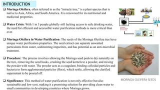 PURIFICATION OF WATER USING MORINGA OLEIFERA SEEDS[1].pptx | Chemistry | Science