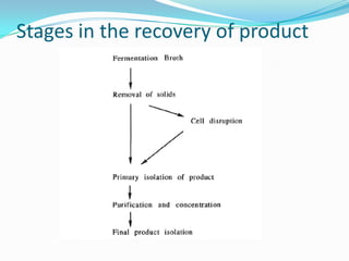 Purification product | PPTX
