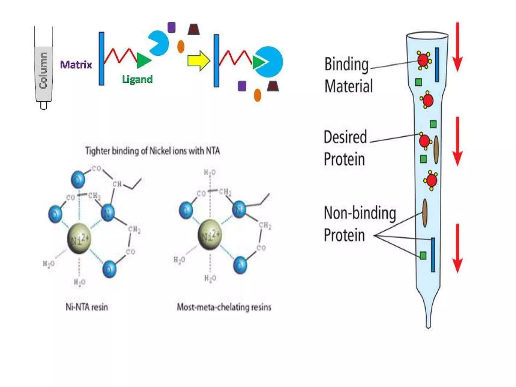 Purification techniques chromatography | PPTX