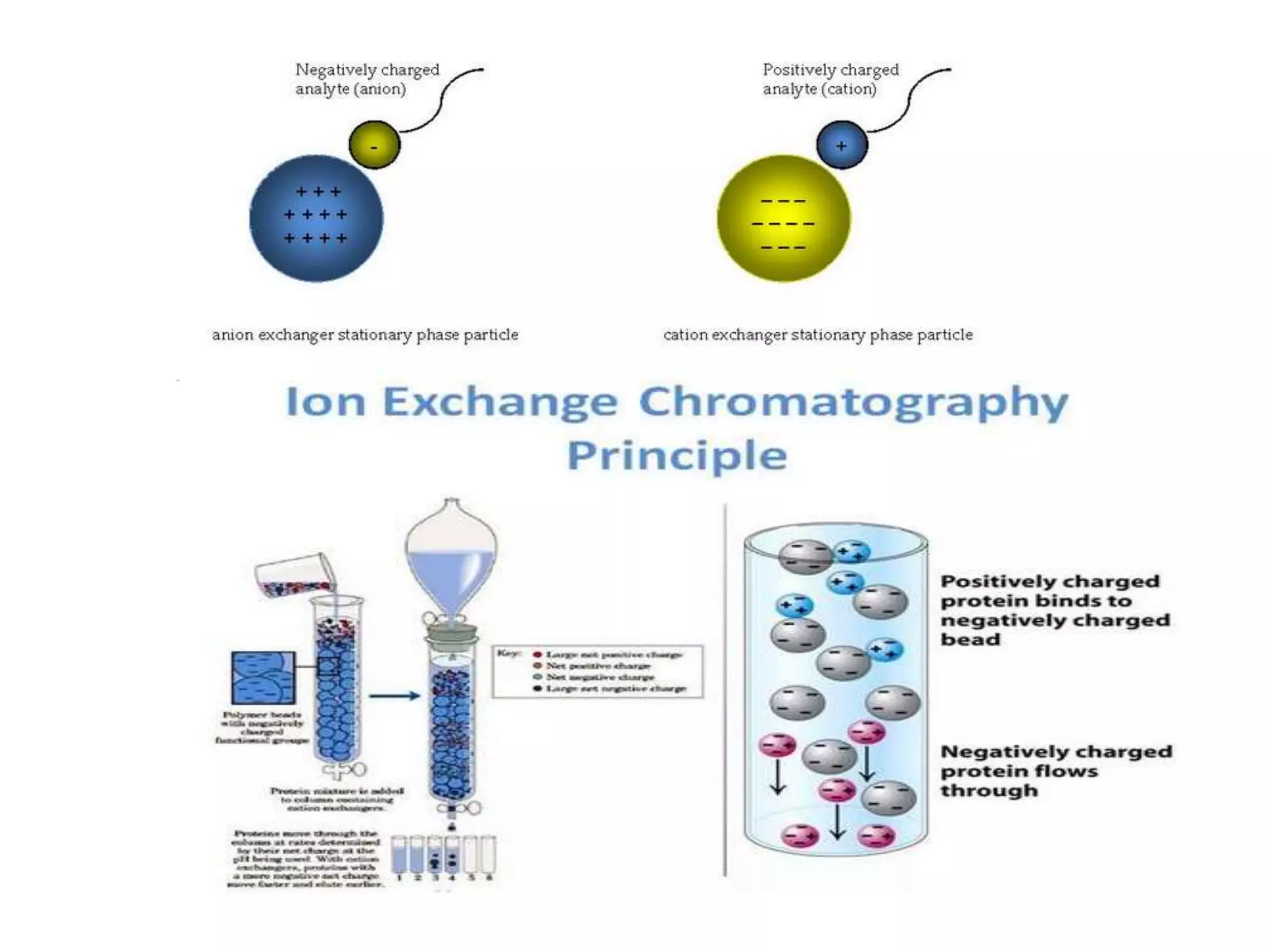 Purification techniques chromatography | PPTX