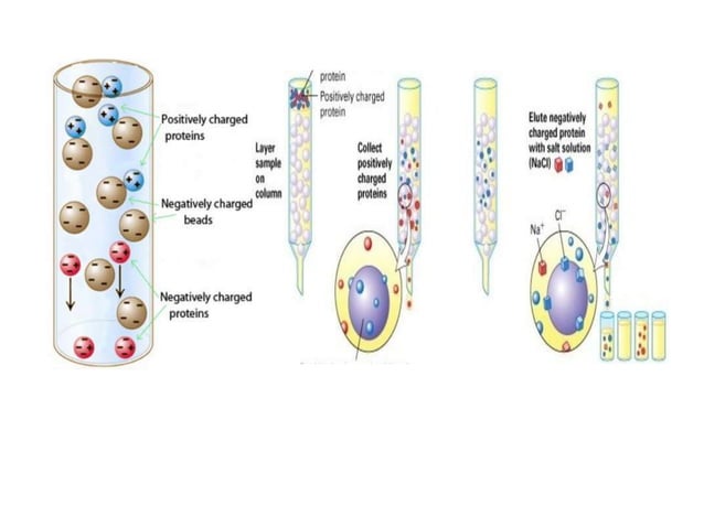 Purification techniques chromatography | PPTX | Chemistry | Science