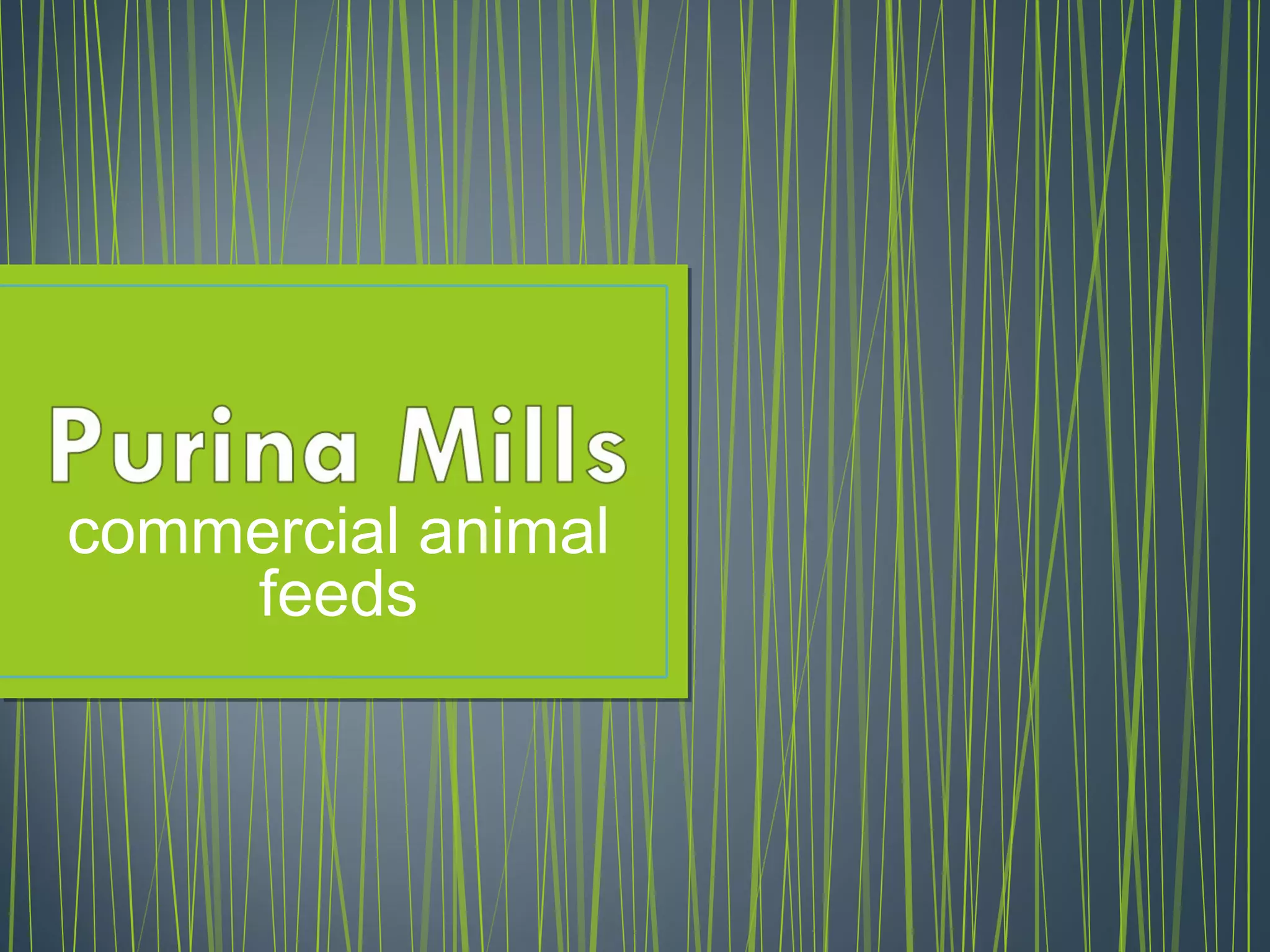 Purina mills PHL | PPT