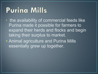 Purina mills PHL | PPT