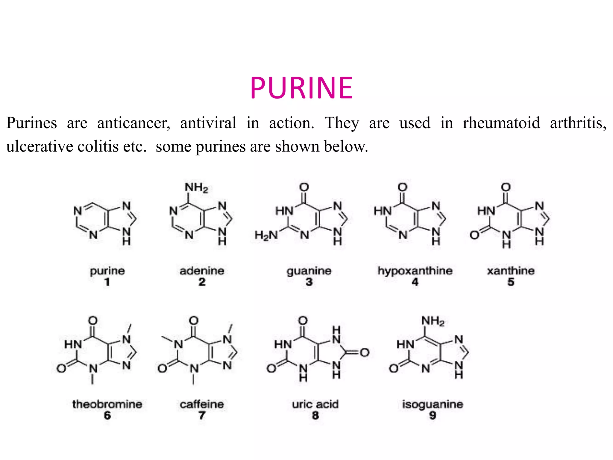 Purine | PPTX