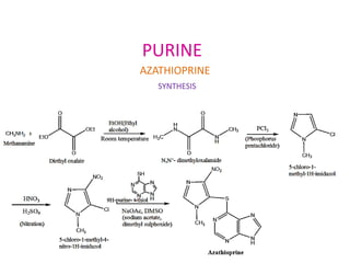 Purine | PPTX