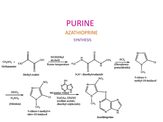 Purine | PPTX