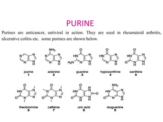 Purine | PPTX